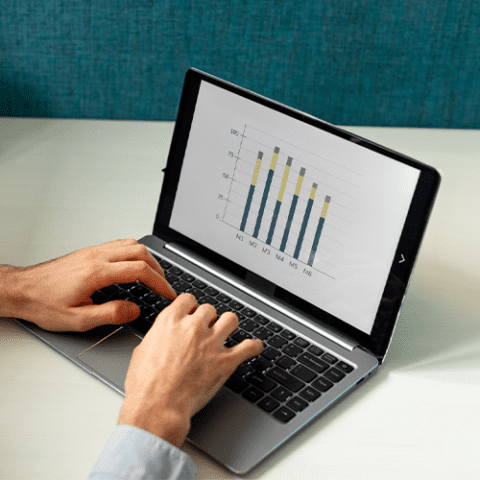 General Ledger System - Enhances Business Operations